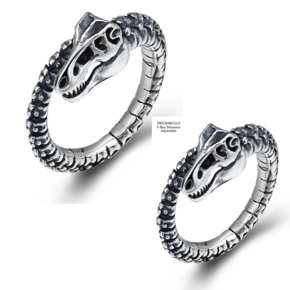 TRICKSKULLS | Accessories | 2 Trex Dinosaur Tyrannosaurus Rex Skeleton ...